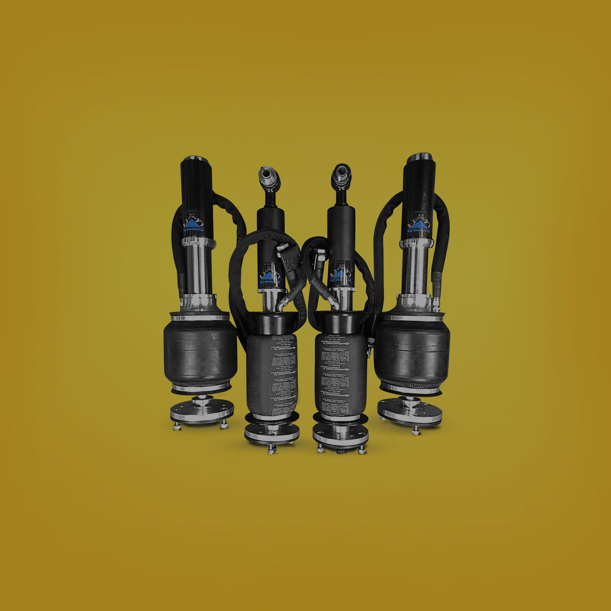 Air Struts | Air Suspension | AccuAir Suspension